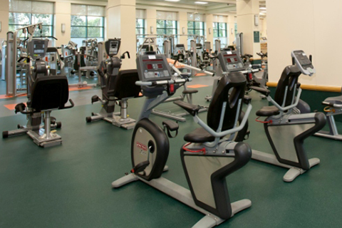 SHAPE-UP with a 20-Percent Discount at the Wellness Centers | Inside UM ...